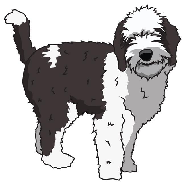 SignMission D-18-Sheepadoodle 8 x 24 in. Super Cute Dog Decal ...