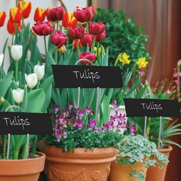 Navaris Slate Plant Labels (10 Pieces) - Set of 10 Natural Slate Garden ...