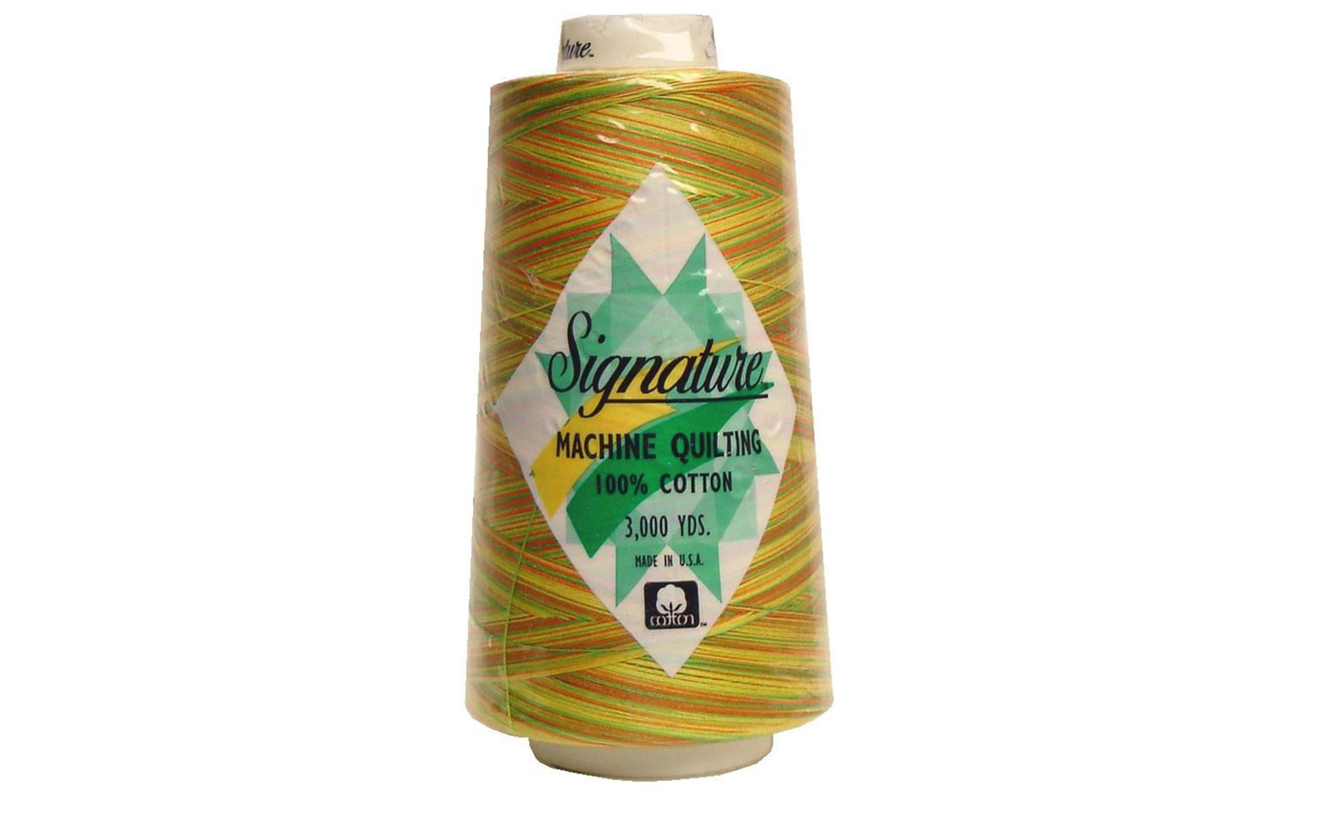 Signature Variegated Quilting Thread, 3000yds - Walmart.com