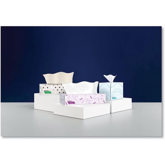 Signature Facial Tissue – 2-Ply Cube Box – Soft, Strong, and Absorbent ...