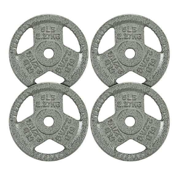 Signature Fitness Cast Iron Weight Plates for Strength Training, Fits 1 ...