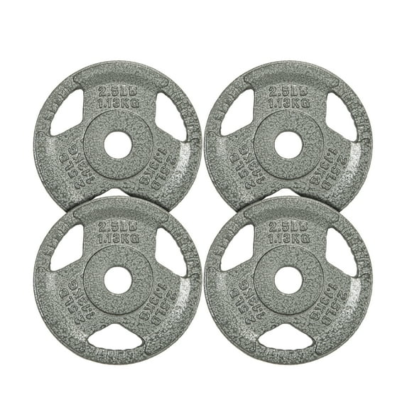 Signature Fitness Cast Iron Weight Plates for Strength Training, Fits 1 ...