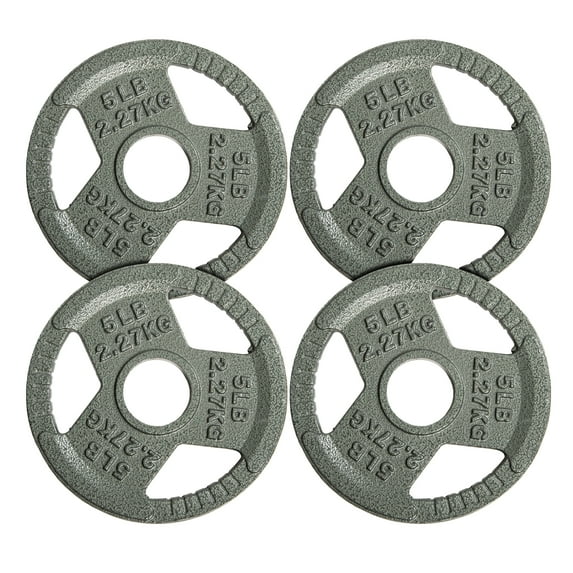 Signature Fitness Cast Iron Weight Plates for Strength Training, Fits 2 ...