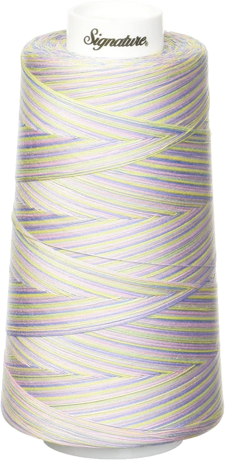 Signature Thread, Size - 40 ft, 3000 yard, Color - Variegated Pastels ...