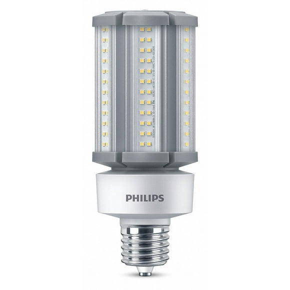 Cylinder Light Bulb