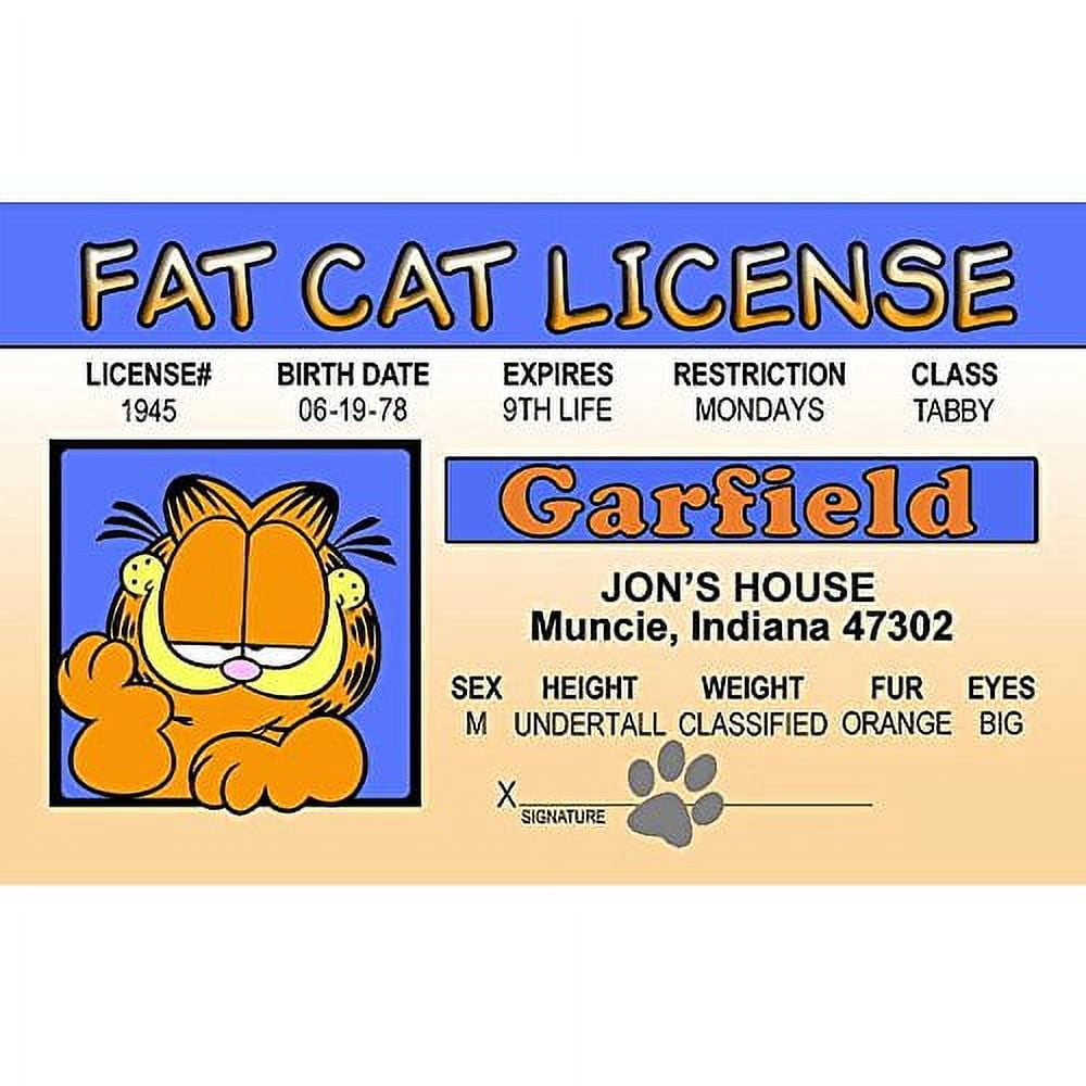 Signs 4 Fun Garfield's Driver's License - Made in The USA - Walmart.com