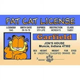 Signs 4 Fun Garfield's Driver's License - Made in The USA - Walmart.com