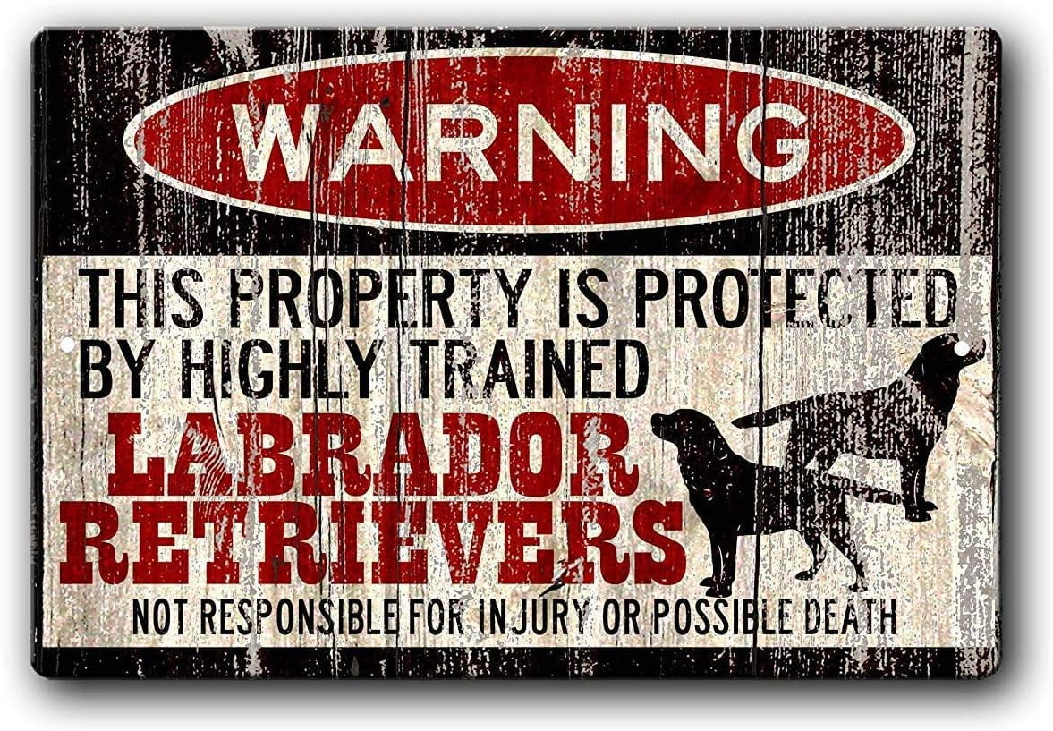 Signs Aluminum Metal Labrador Retrievers Sign,Funny Metal Signs,Dog ... Signs Aluminum Metal Labrador Retrievers Sign,Funny Metal Signs,Dog ...