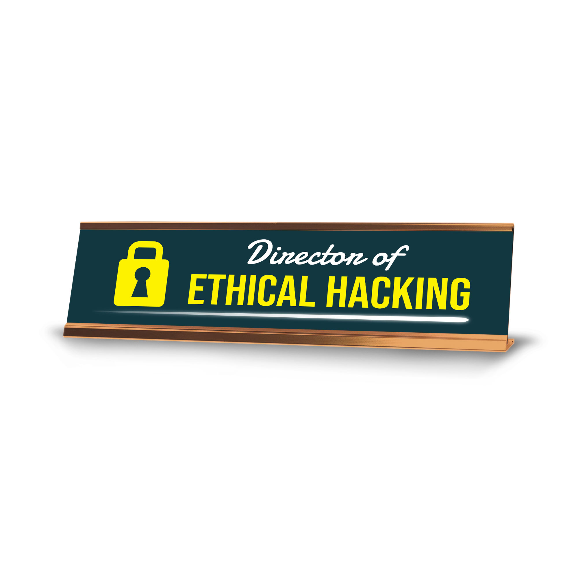 Signs ByLITA Director of Ethical Hacking Rose Gold Frame Desk Sign (2x8 ...