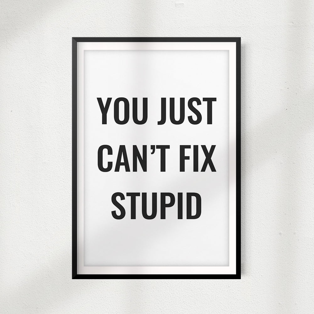 Signs ByLITA You Just Can't Fix Stupid 8" x 10" UNFRAMED Print Home ...
