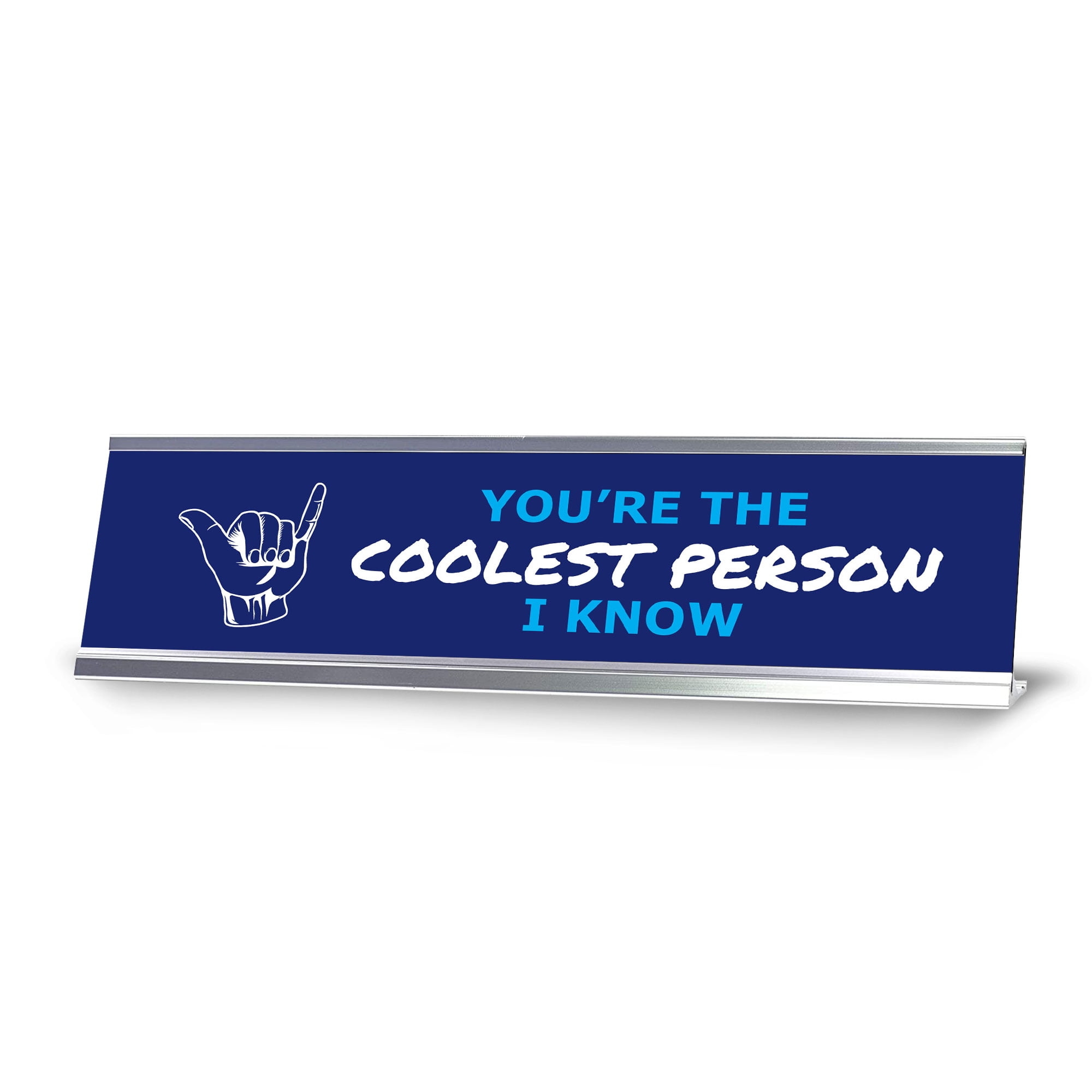 Signs ByLITA You’re The Coolest Person I Know, Silver Frame Desk Sign ...