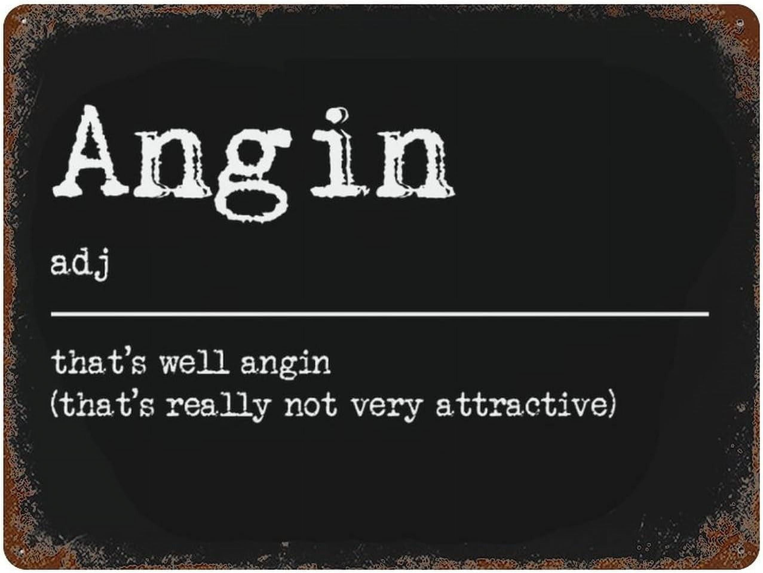 Signs Funny Definition Noun Angin Metal Tin Sign 8x12 Inch - Walmart.com