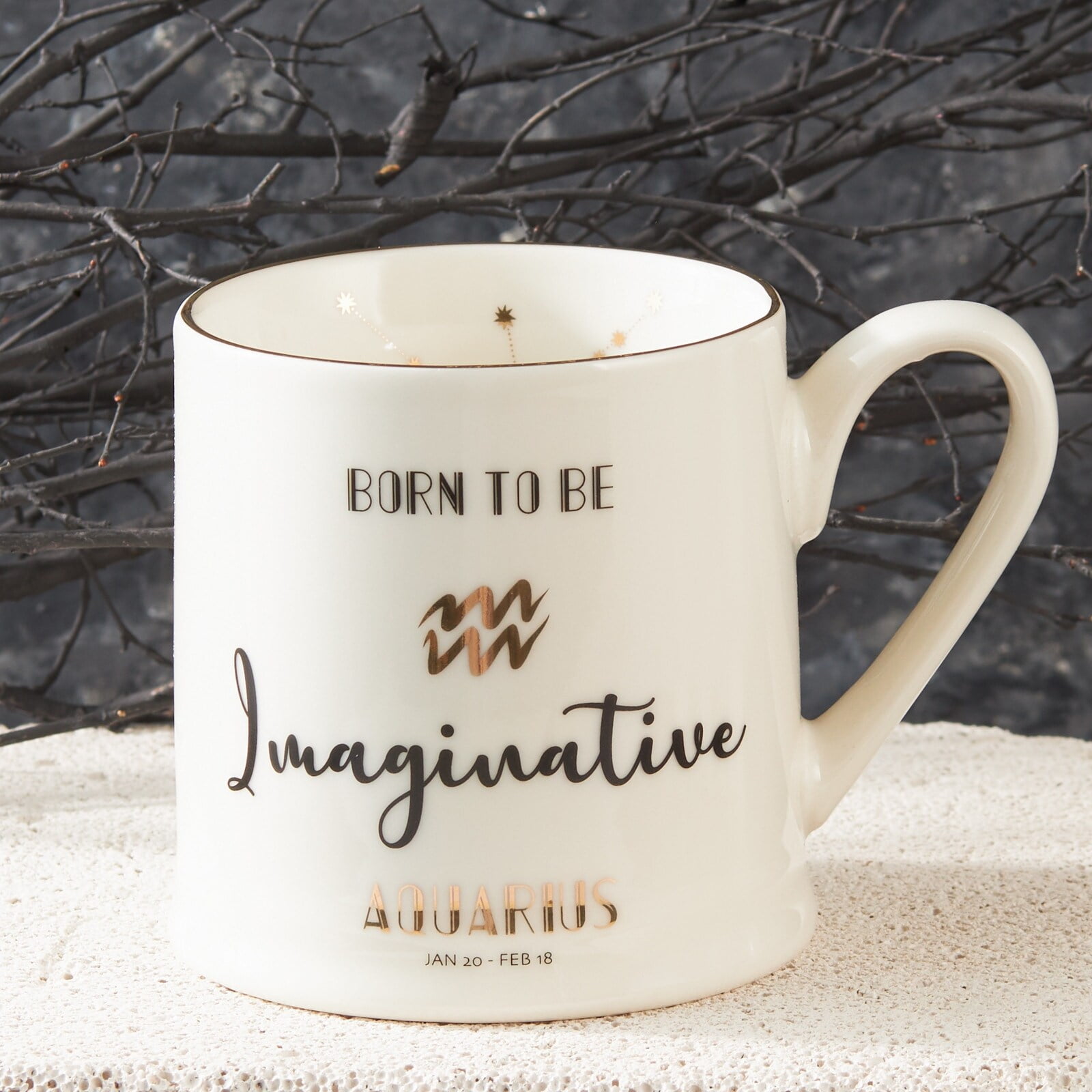 Signs of Destiny 13oz Bone China Large Mug Aquarius - Walmart.com