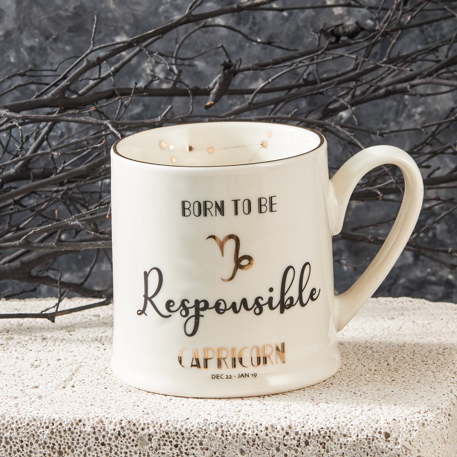 Signs of Destiny 13oz Bone China Large Mug Capricorn - Walmart.com