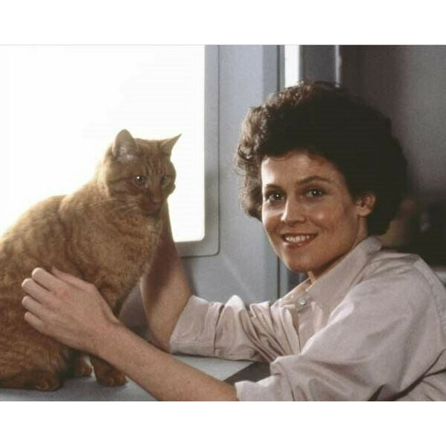 Sigourney Weaver smiling pose with ginger cat from Alien poster ...