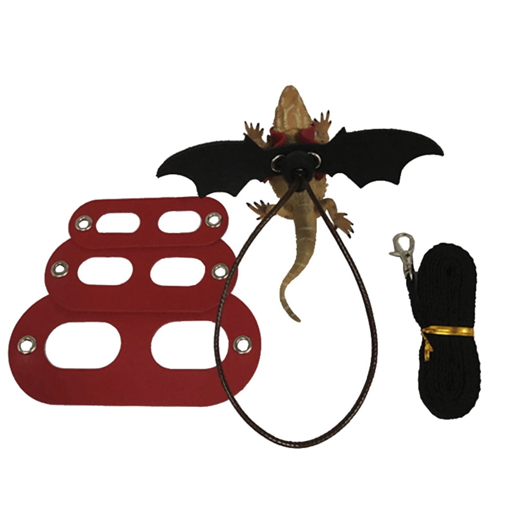 Sijiali Adjustable Reptile Leash Bearded Dragon Lizard Harness Wing ...