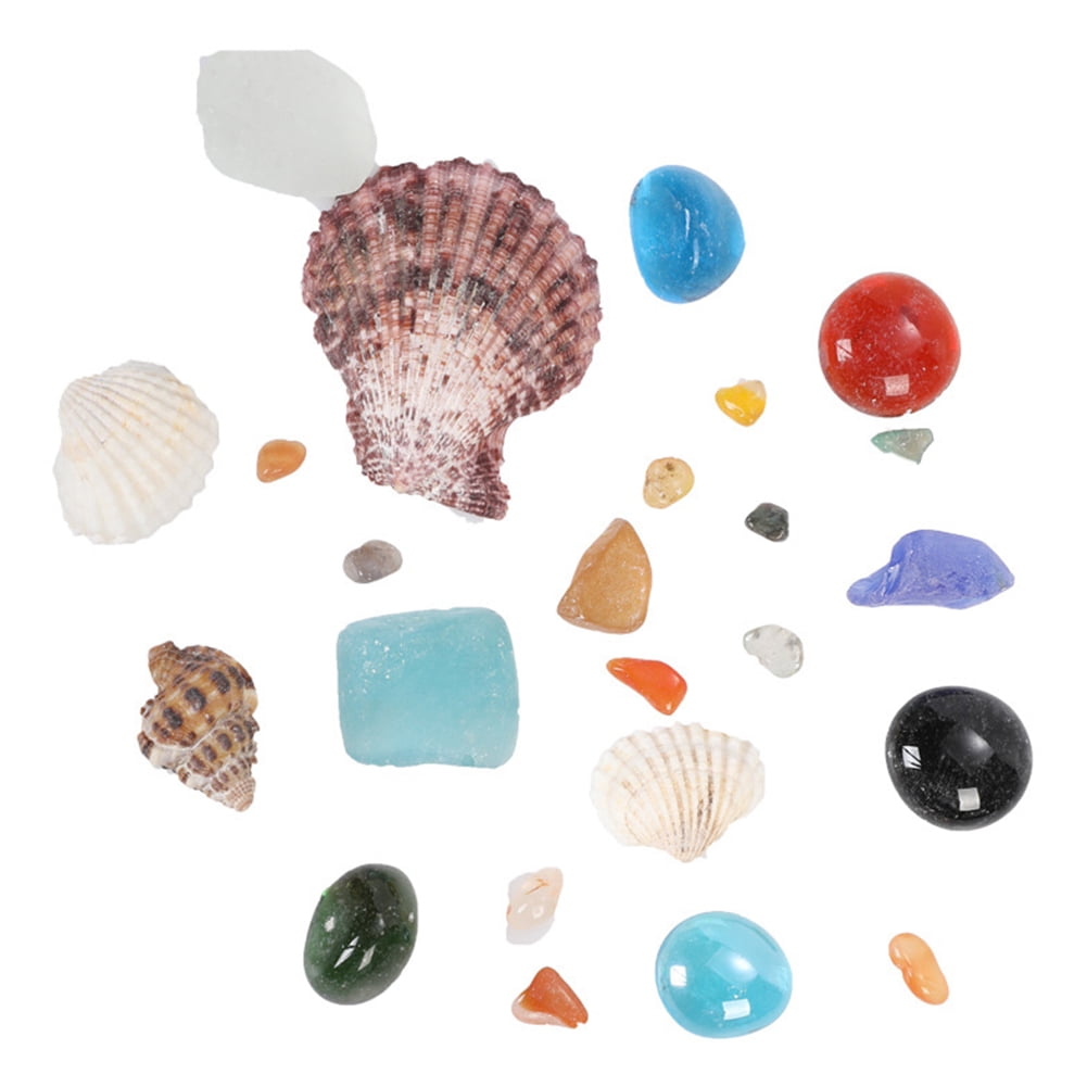 Sijiali DIY Faux Gem Shells Excavation Dig up Kit Educational Kids ...