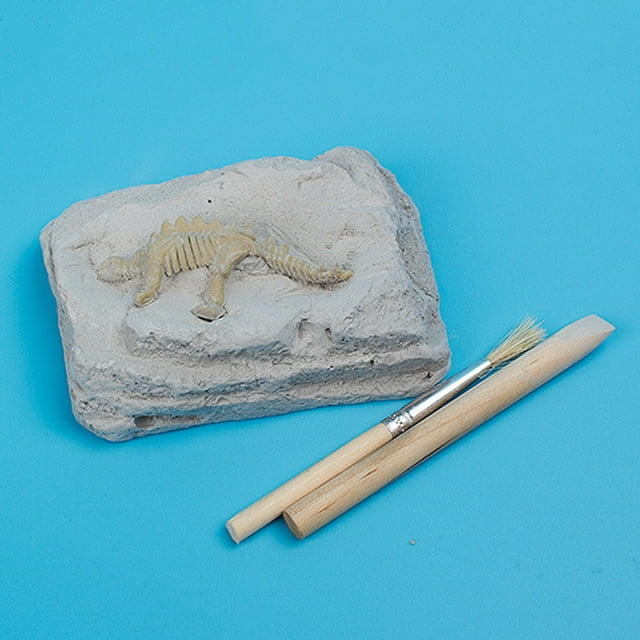 Sijiali DIY Handmade Dinosaur Digging Fossil Excavation Model Science ...