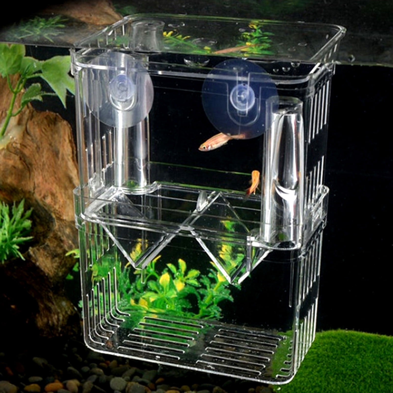 Sijiali Double-layer Transparent Fish Breeding Tank Versatile Aquarium ...
