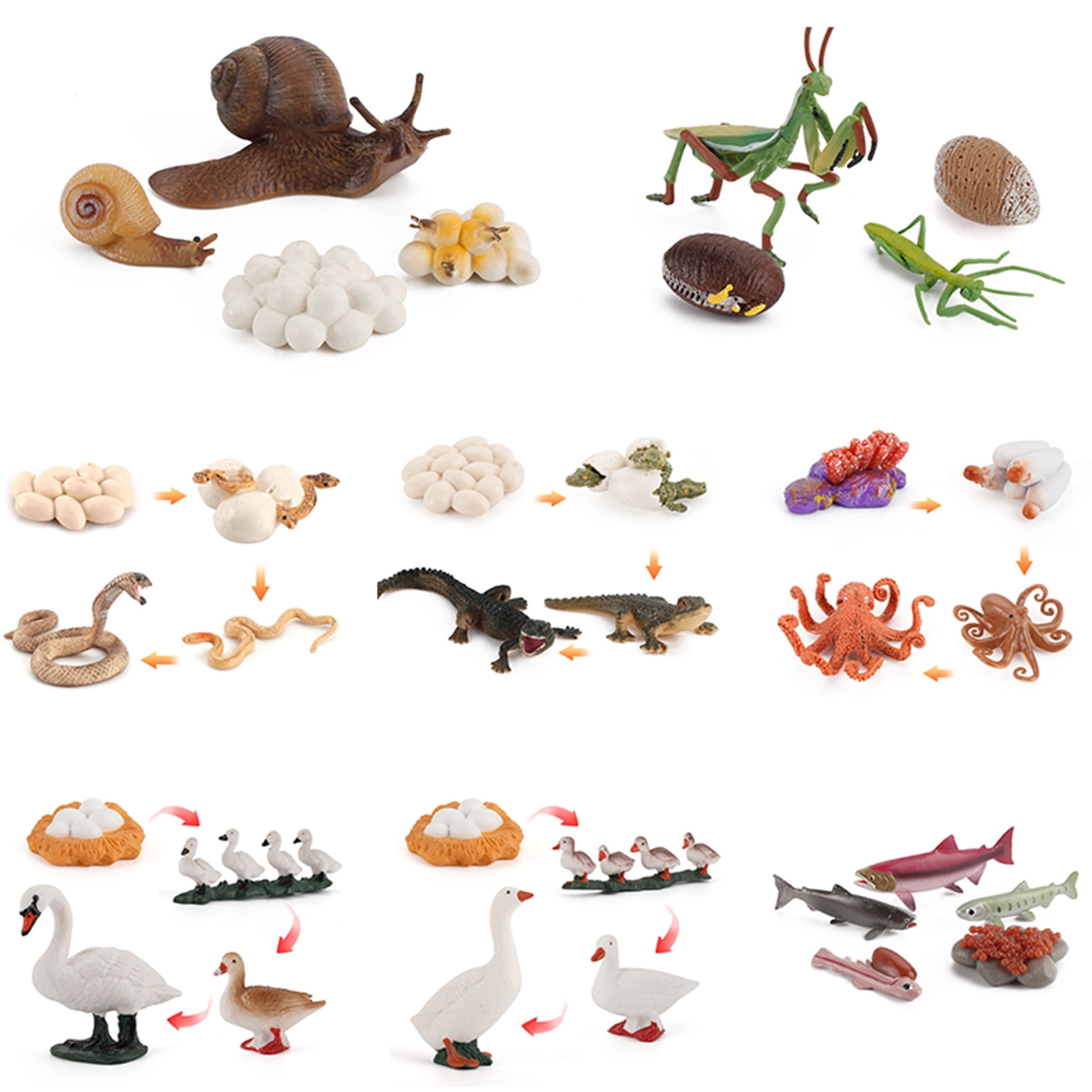 Sijiali Model Toy Simulation Animal Design Early Educational Plastic ...