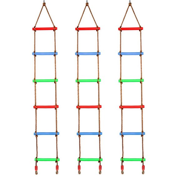 Playground Ladder