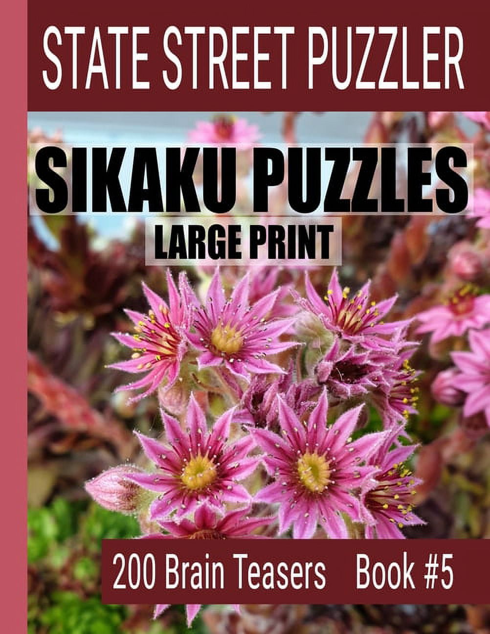 Sikaku Puzzles: Large Print 200 Brain Teaser Book #5: Fun Filled ...