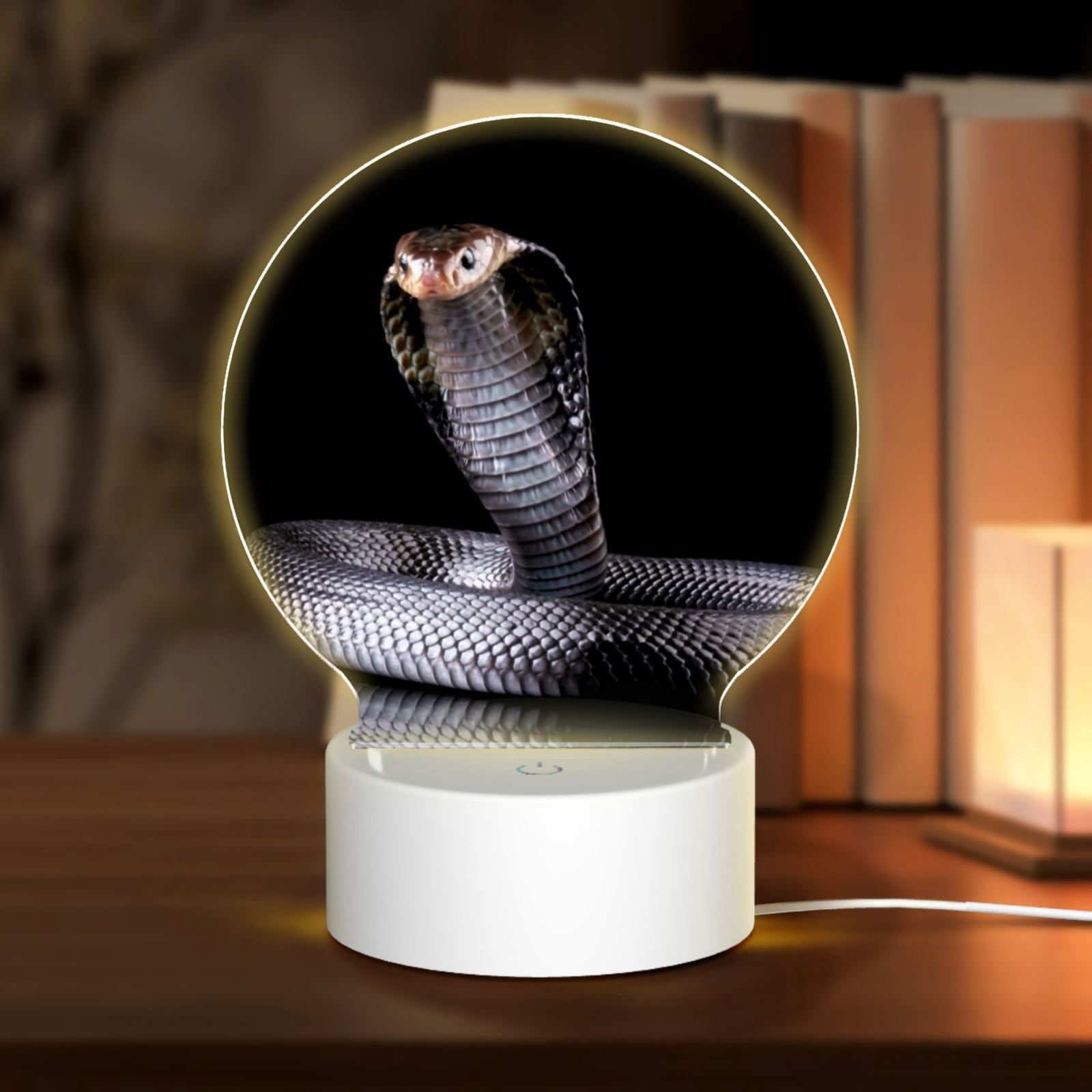 Sikiie Black Cobra Snake Acrylic Night Light Gift Custom Acrylic Night ...