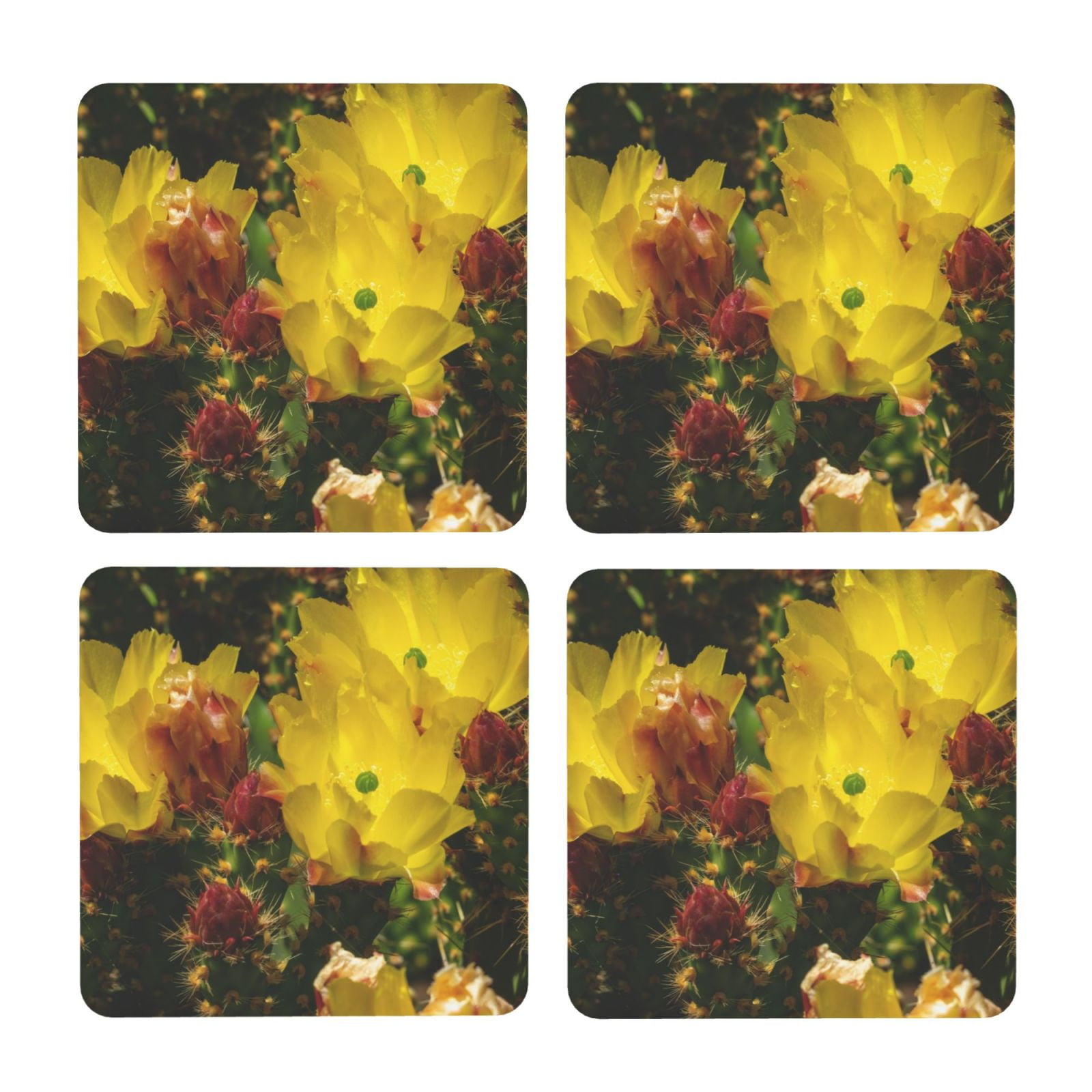 Sikiie Cactus Flowers MDF Cork Coaster 4 Pcs - Absorbent Beverage ...