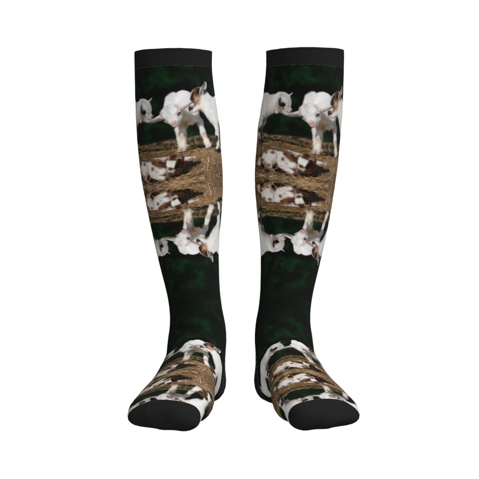 Sikiie Cute Goat Baby 1 Pairs Compression Socks for Men and Women 15-20 ...