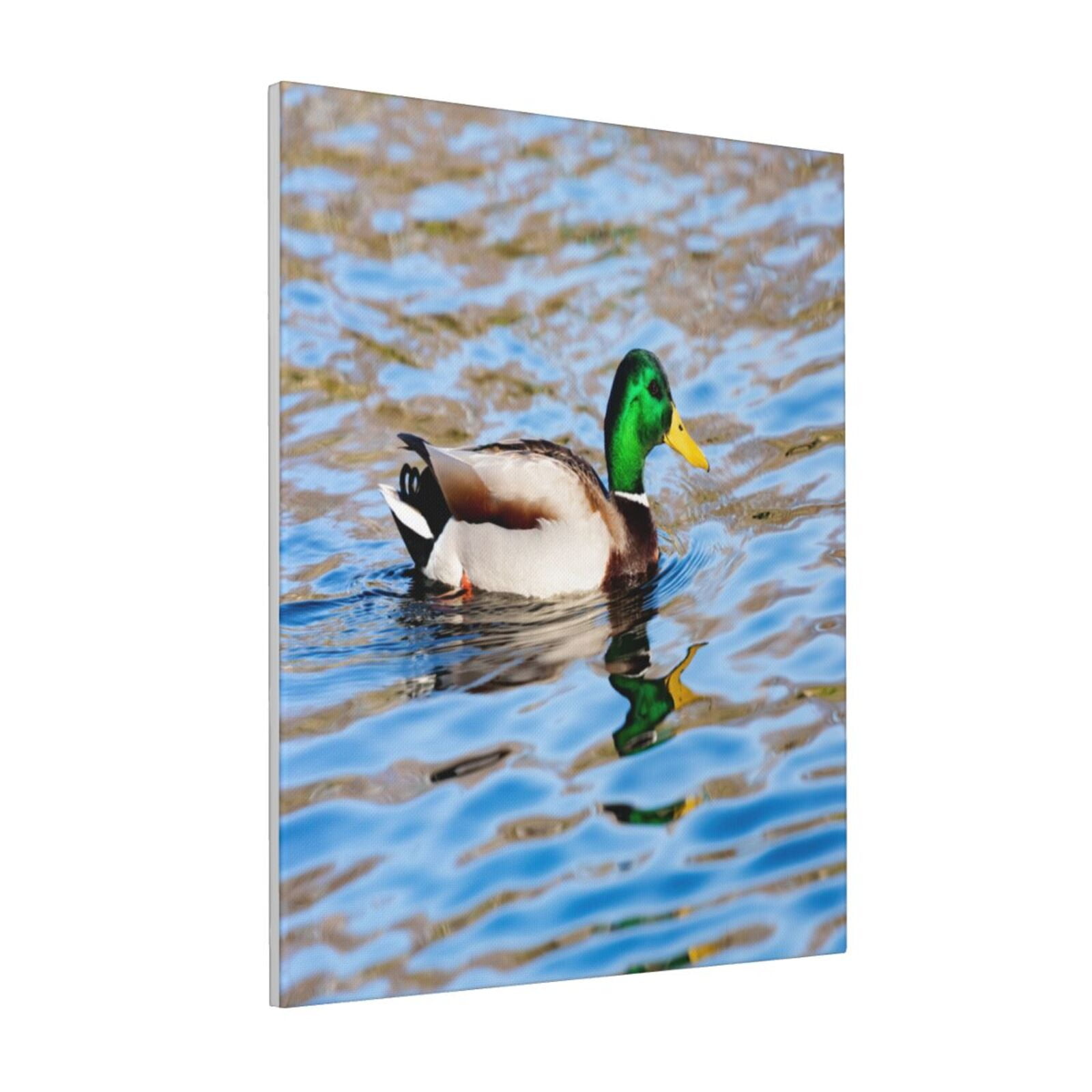 Sikiie Mallard Duck Swimming In A River Print Canvas Decorative Hanging Painting, Anti-shrinkage ...