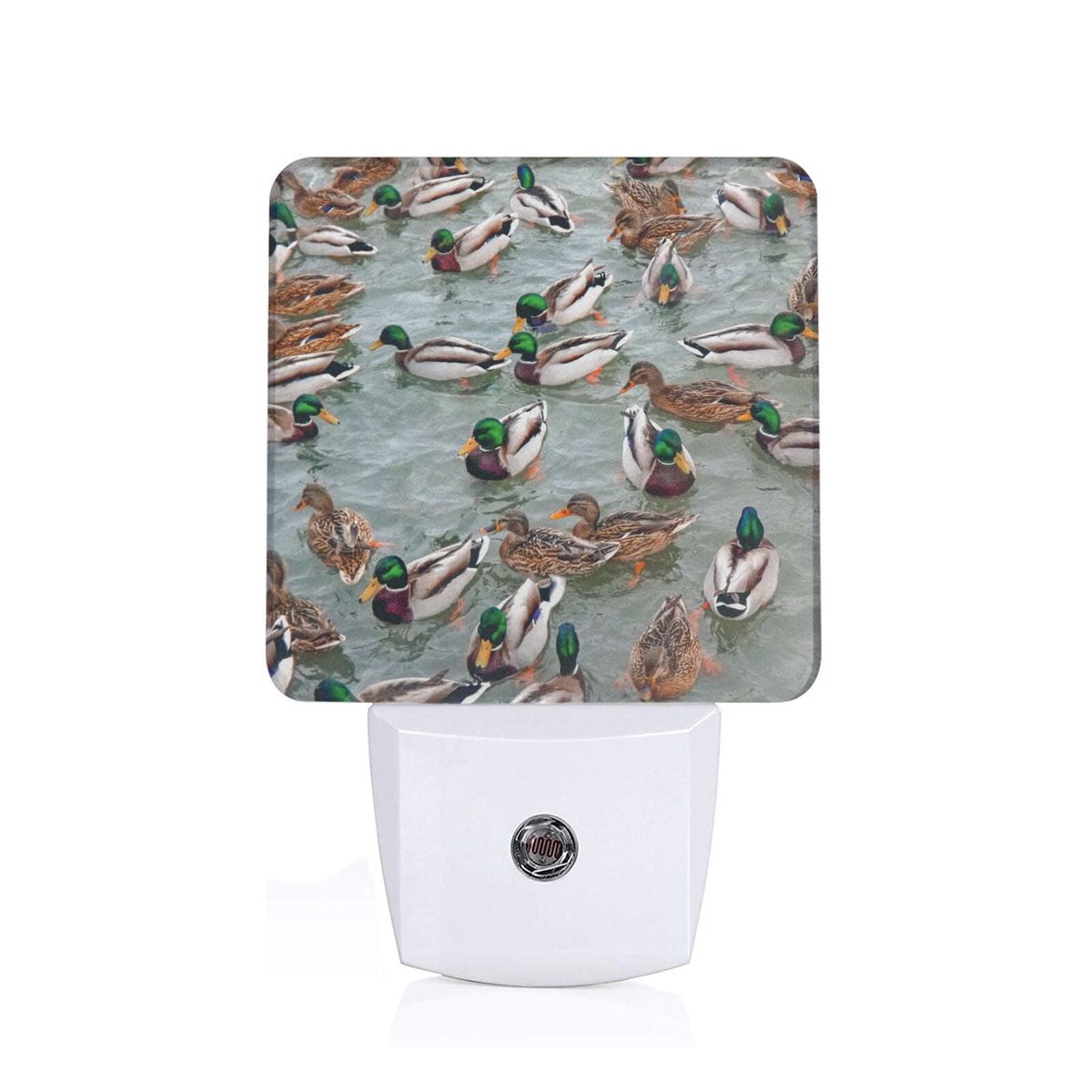 Sikiie Mallard Ducks Swimming Led Night Light, Warm White,Cool White ...