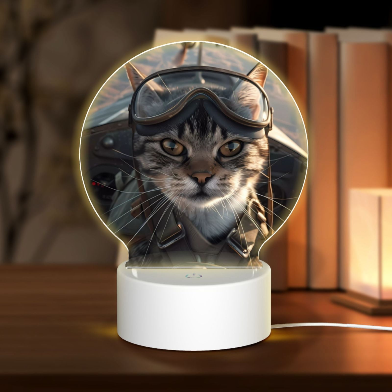 Sikiie Pilot Cat In Vintage Plane Acrylic Night Light Gift Custom ...
