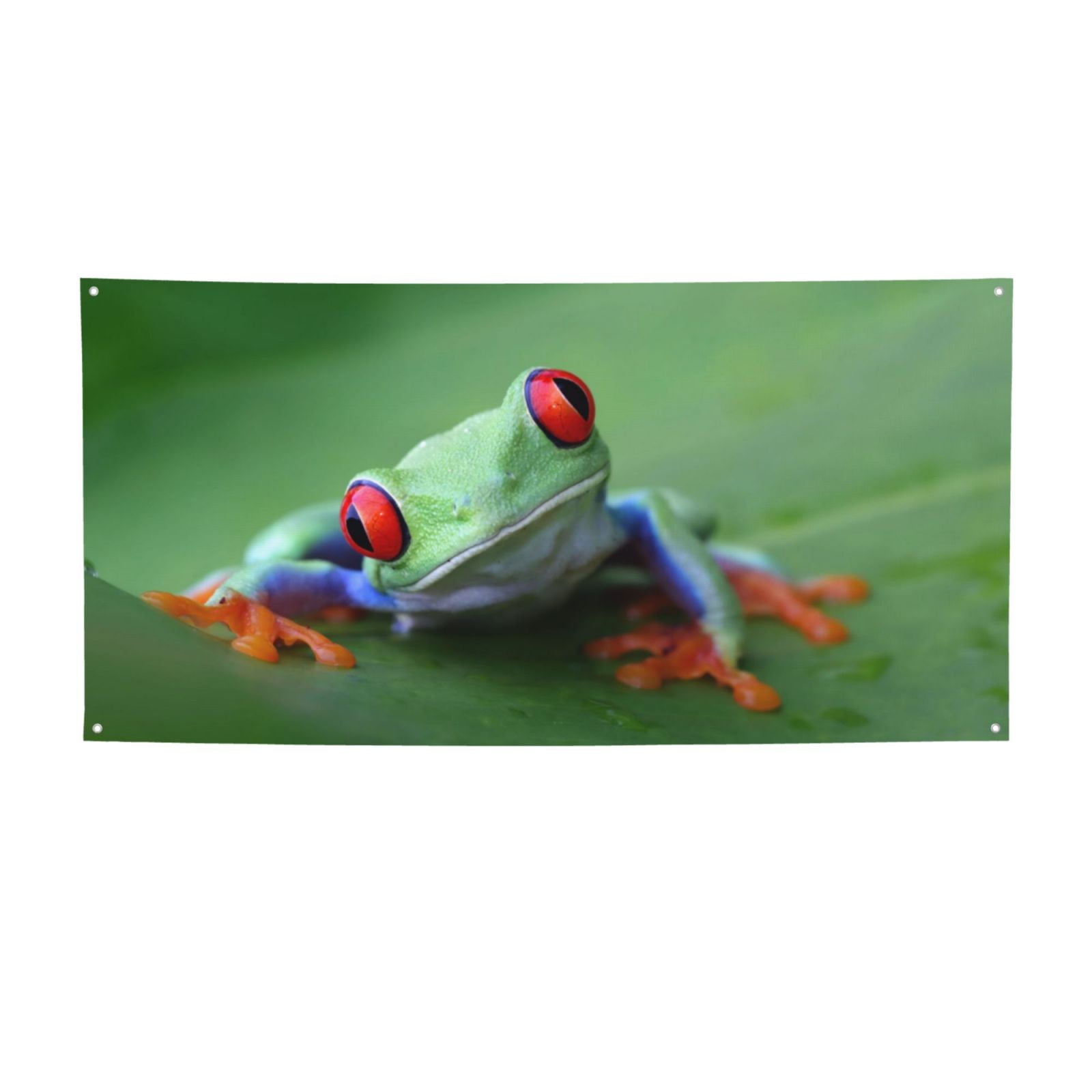 Sikiie Red-Eyed Tree Frog-1 Custom Banners and Signs Customize Outdoor ...