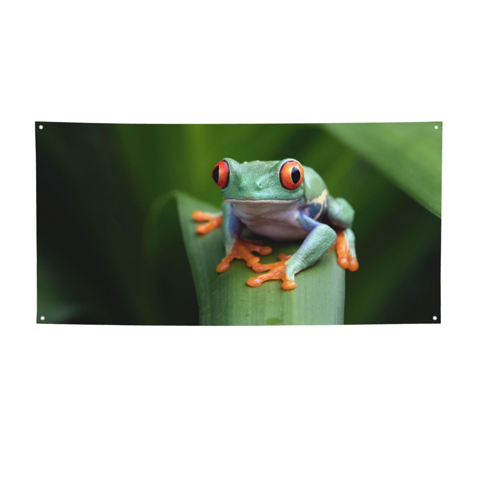 Sikiie Red-Eyed Tree Frog Custom Banners and Signs Customize Outdoor ...