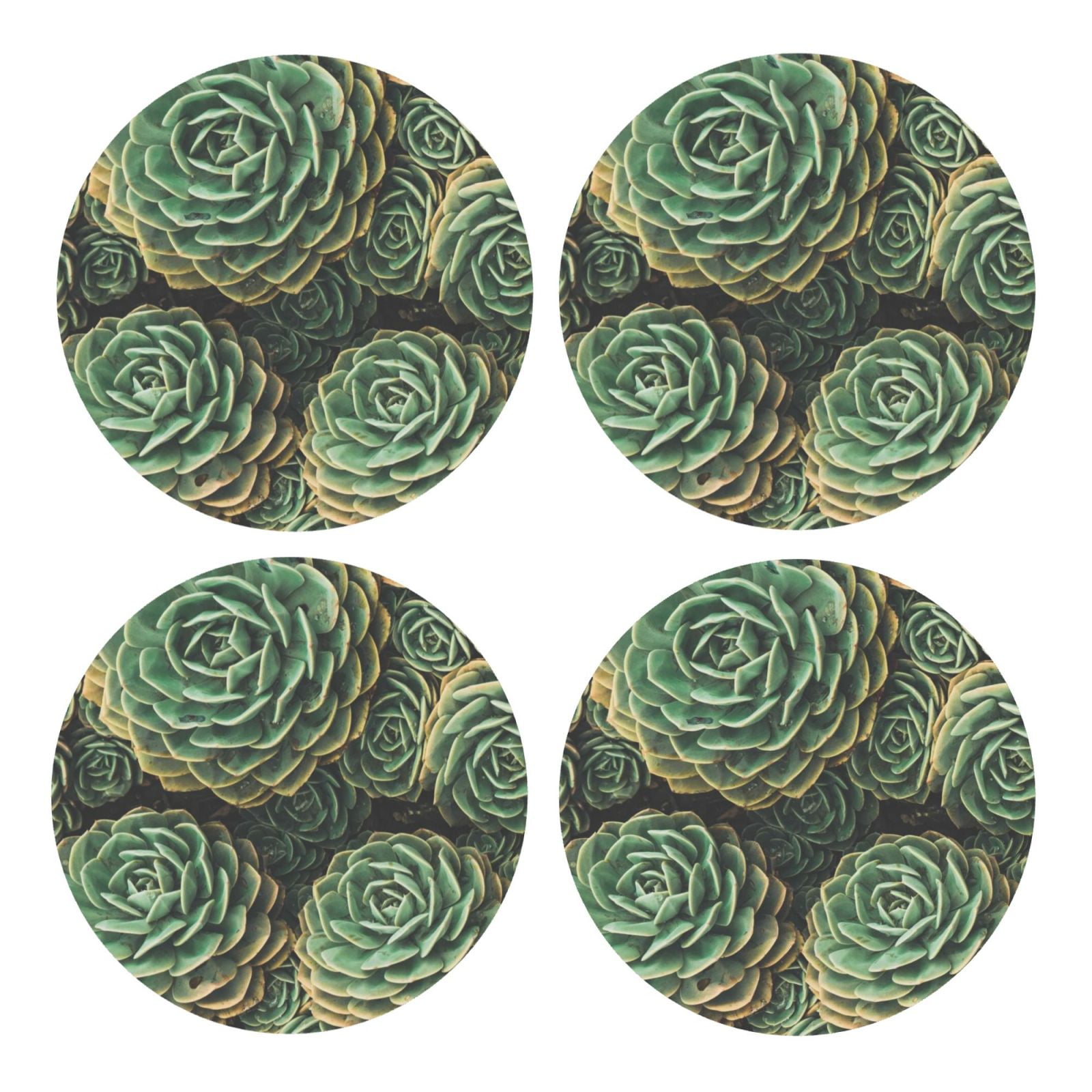 Sikiie Succulents MDF Cork Coaster 4 Pcs - Absorbent Beverage Coasters ...