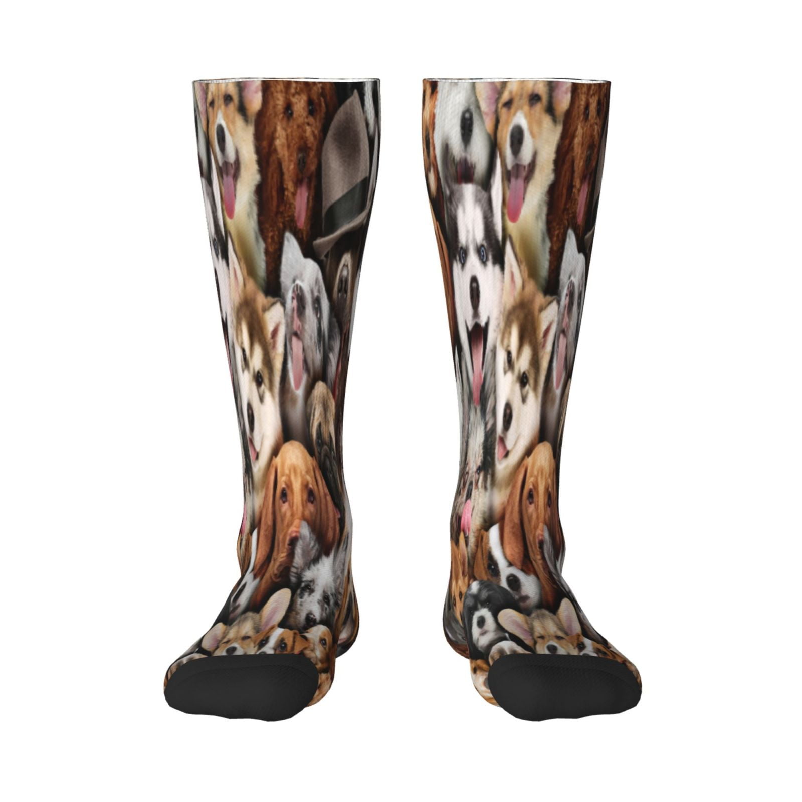 Sikiie various dog breeds Print Knee Socks, High Socks Long Stretchy ...