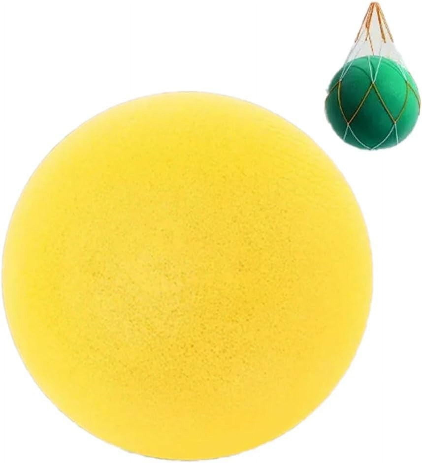 Silent Basketball and Hoop Set, Indoor Basketball Hoop for Kids and ...