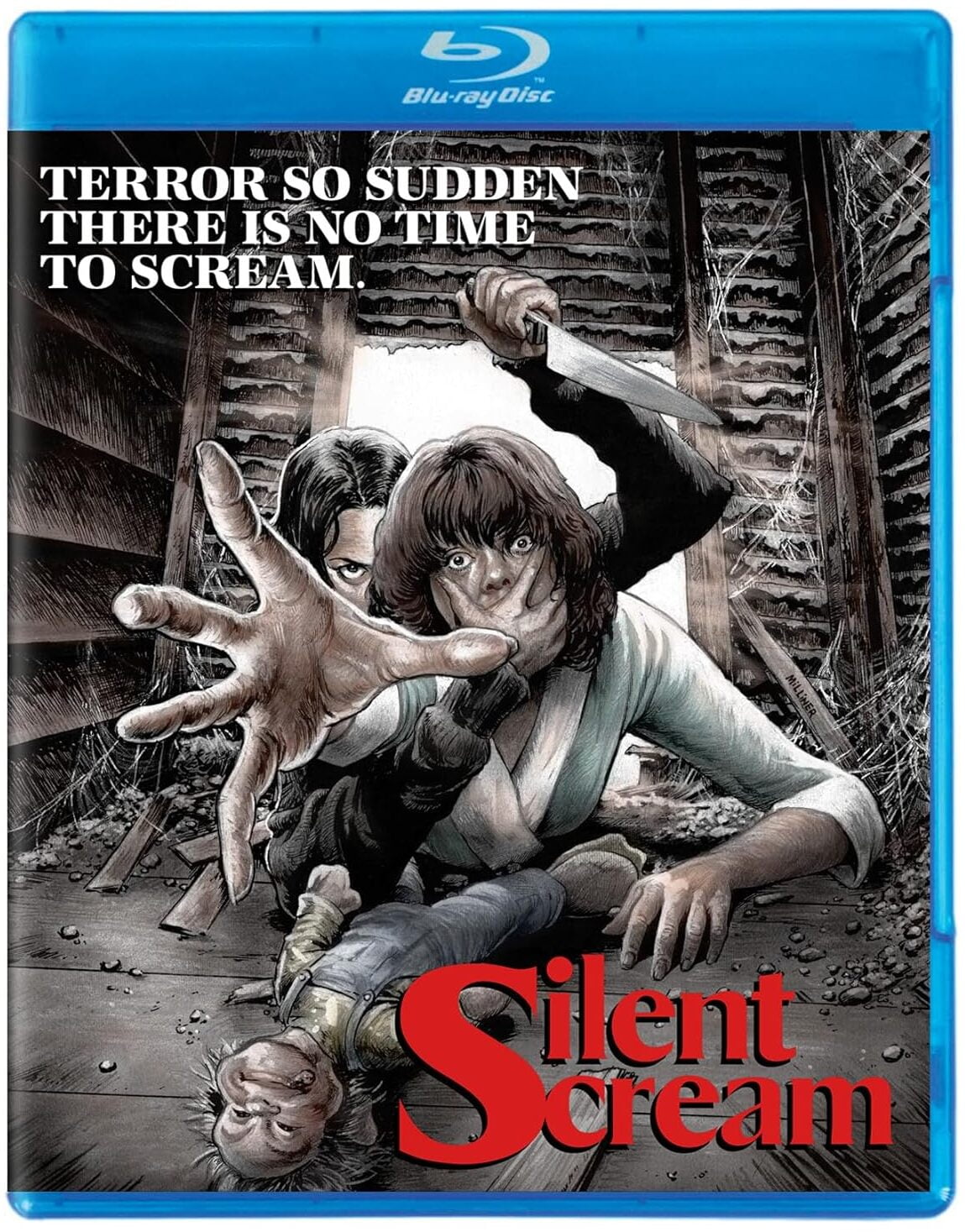 KL Studio Classics - Silent Scream [BLU-RAY] - Walmart.com