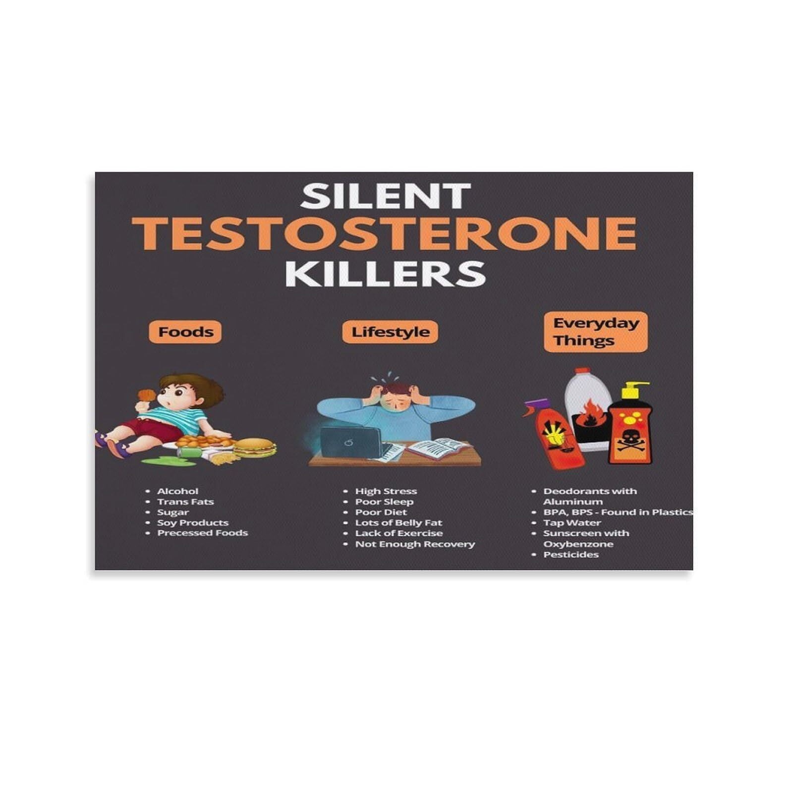 Silent Testosterone Killers Poster Canvas Wall Art Posters For Room ...