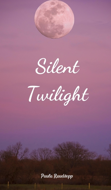 Silent Twilight, (Hardcover) - Walmart.com