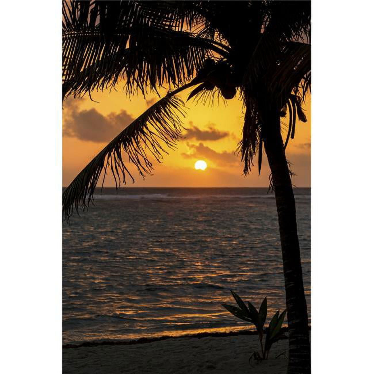 Silhouette of A Coconut Tree Along The Shoreline with An Orange Sun ...