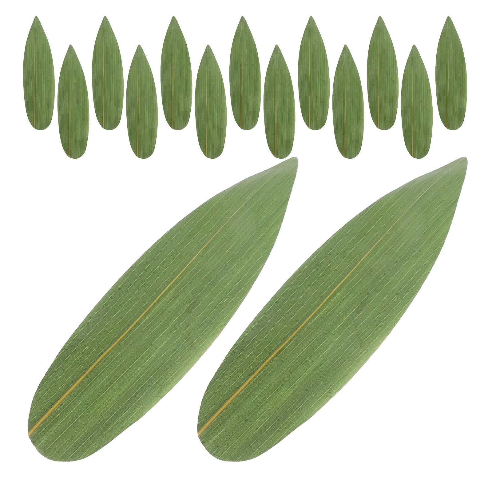 Siliaire 100Pack Japanese Style Bamboo Leaf Decorations For Sushi Green ...