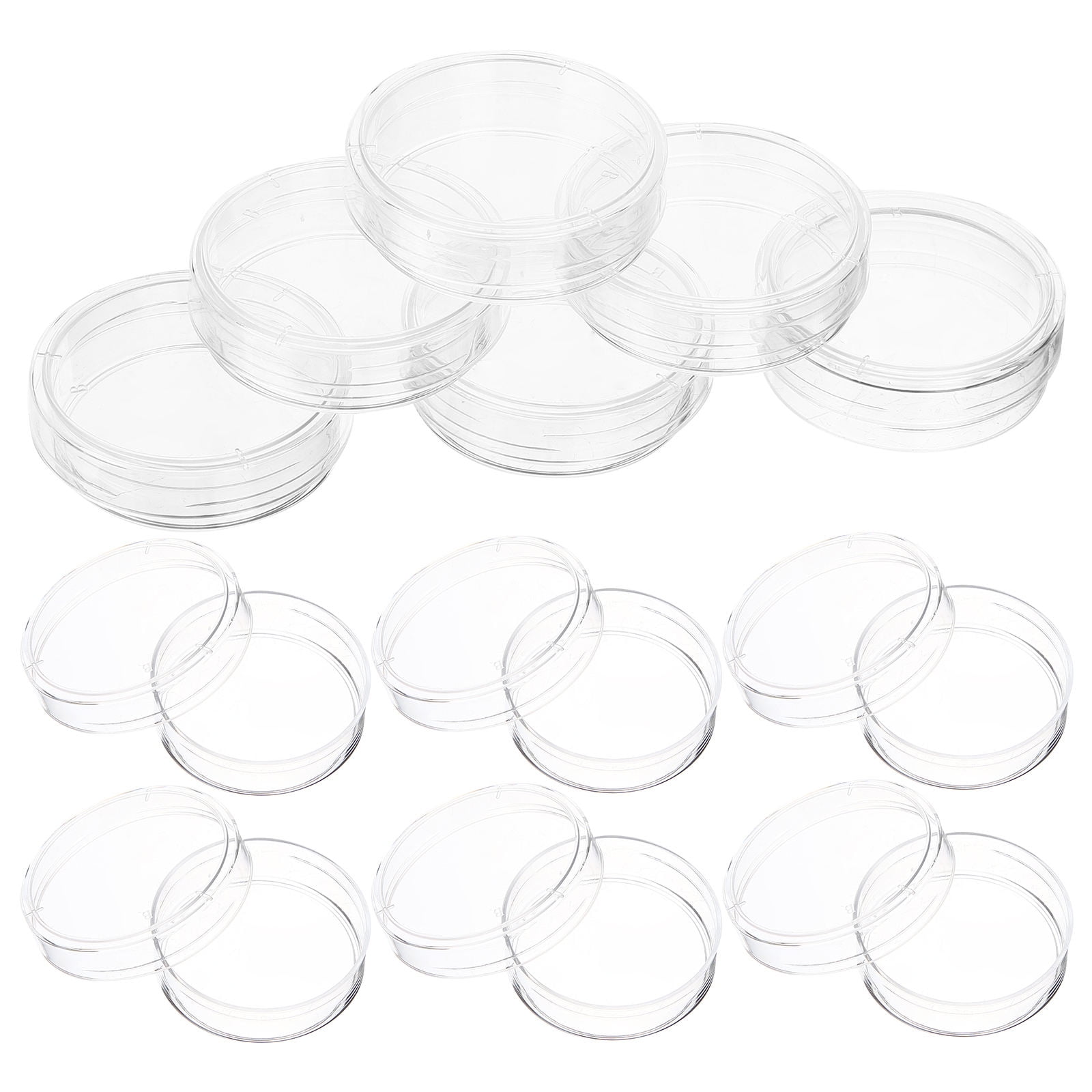 Siliaire 30Pcs Transparent Circular Containers for Tissue Culture in ...