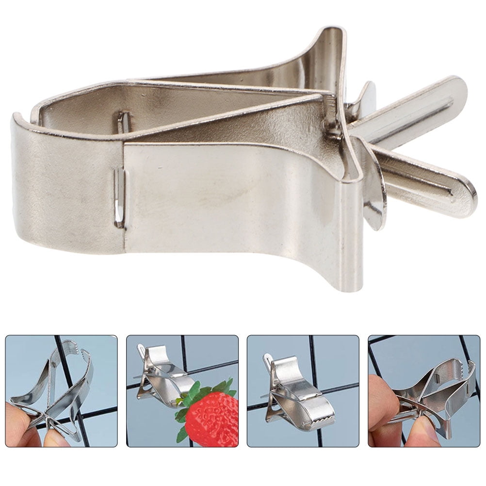 QIFULL Silver Stainless Steel Parrot Food Holder Practical for Home ...