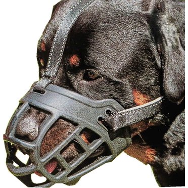 Travelwant Nylon Dog Muzzle for Small,Medium,Large Dogs Prevent from ...