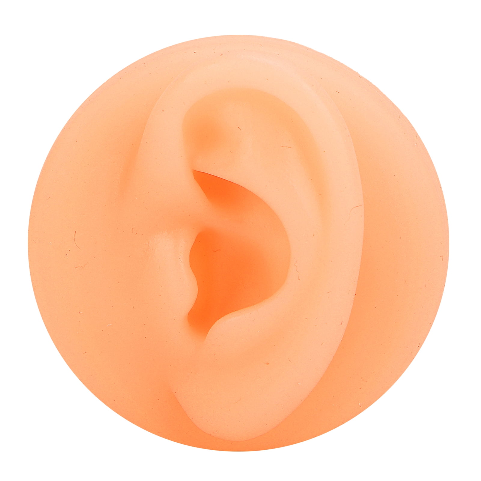Silicone Ear Acupuncture Practice Model Reusable Simulation Ear Display ... Silicone Ear Acupuncture Practice Model Reusable Simulation Ear Display ...