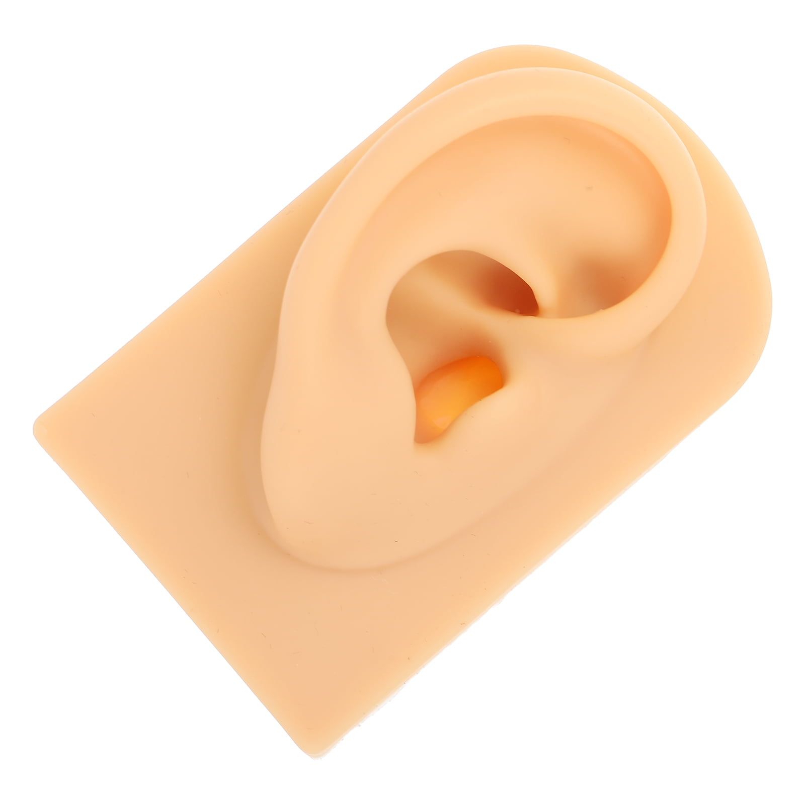 Silicone Ear Model Piercing Fake Artificial Models Teaching ...