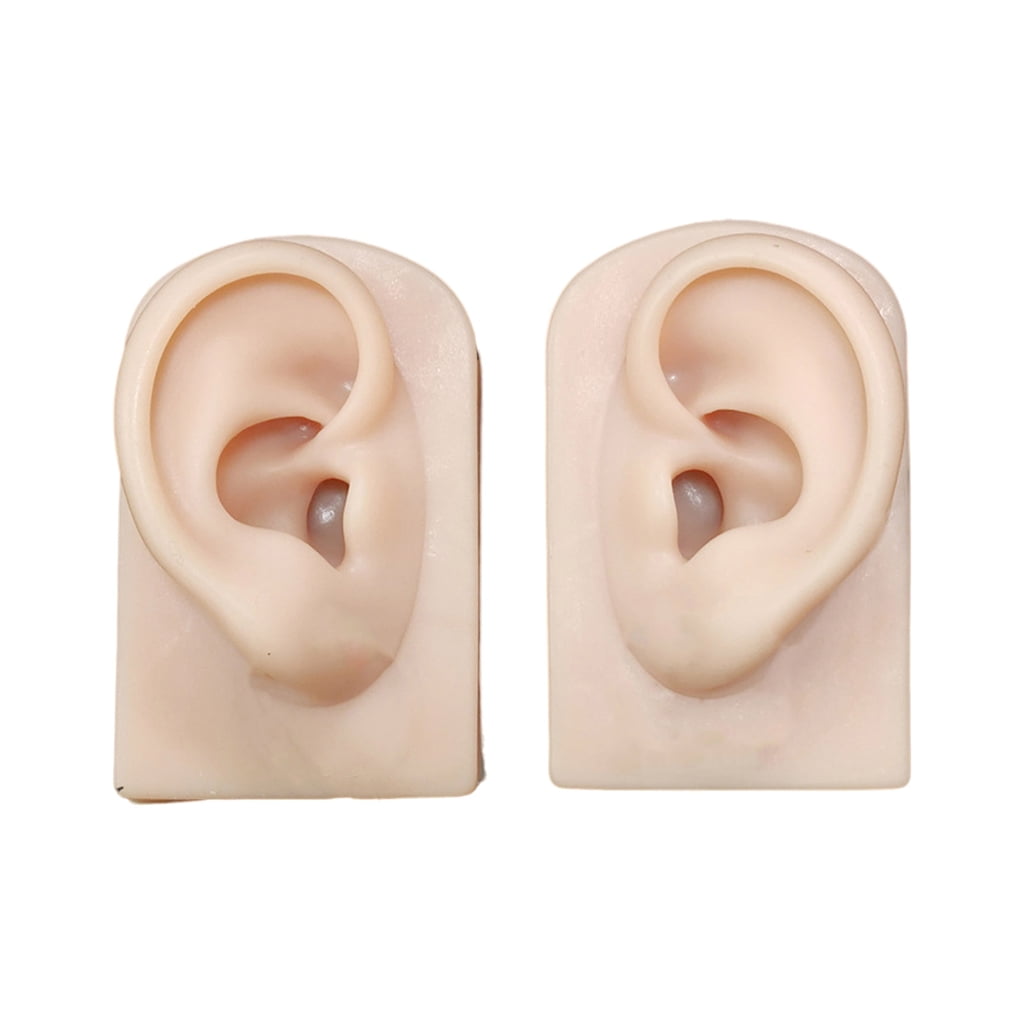 Silicone Ear Model for Piercing Practice and Jewelry Display Realistic ...