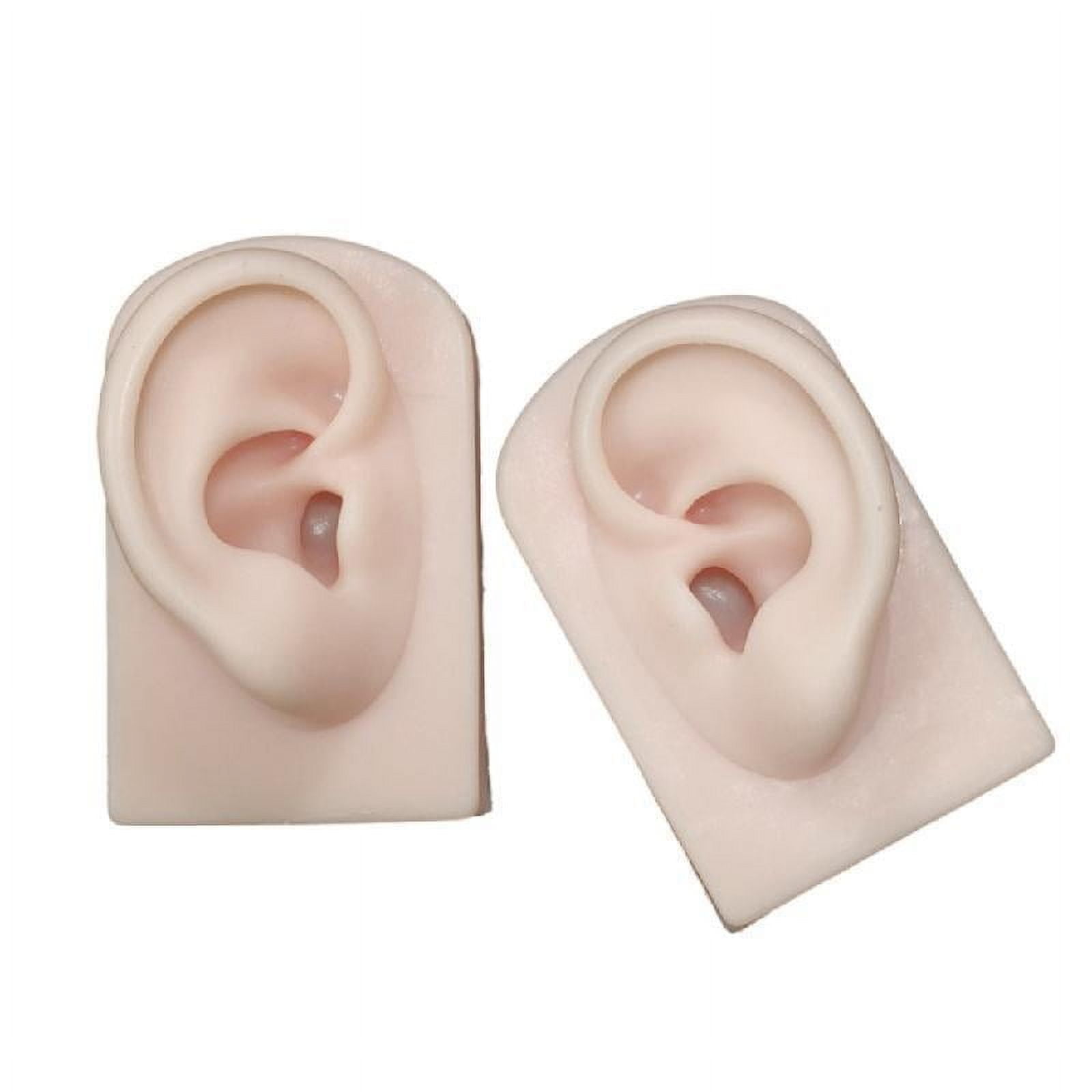 Silicone Ear Model for Piercing Practice and Jewelry Display Realistic ...