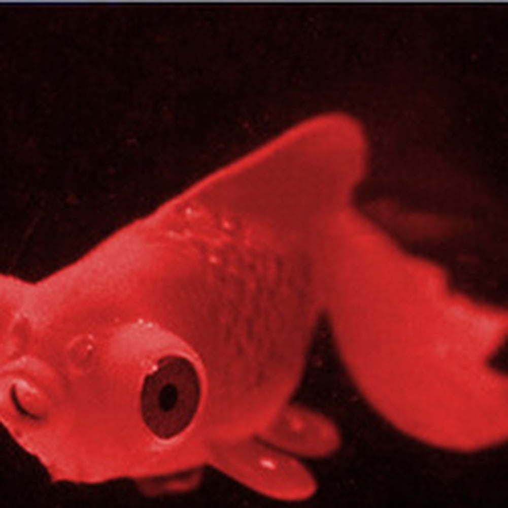 Silicone Luminous Simulation Goldfish Model Fish Tank Landscaping ...